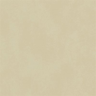 Sample of Biscayne Marine Vinyl Beige