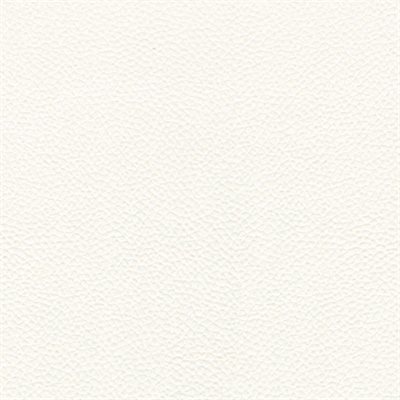 Sample of Leon Marine Vinyl Brite White