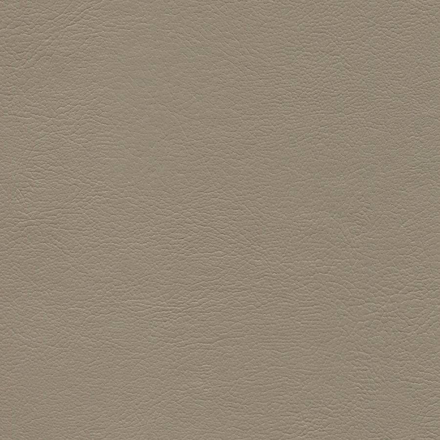 Genesis Economy Vinyl