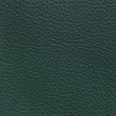 Prodigy Marine Vinyl