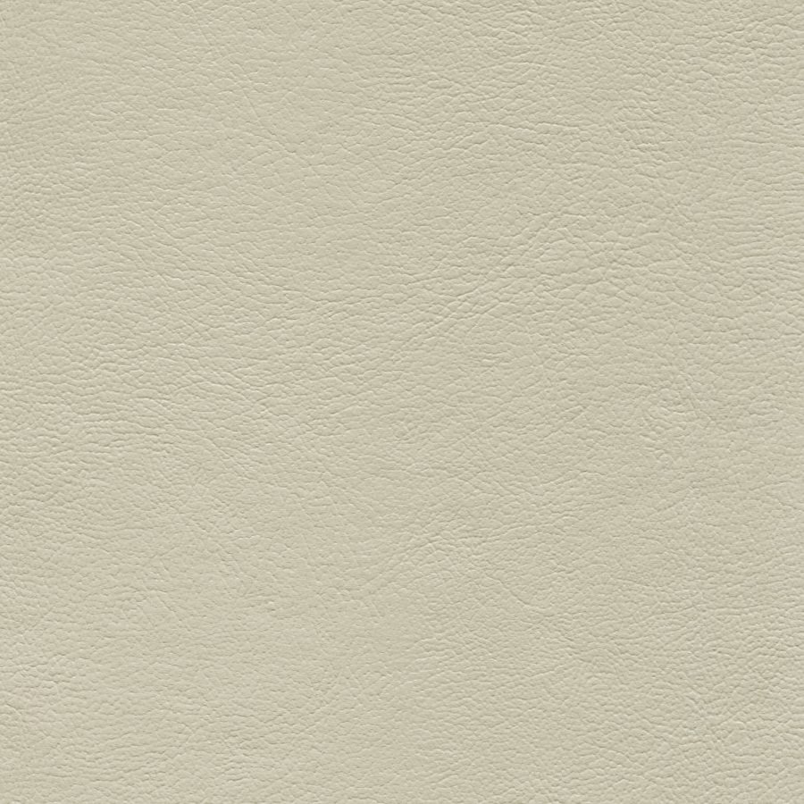 Light Parchment Texture