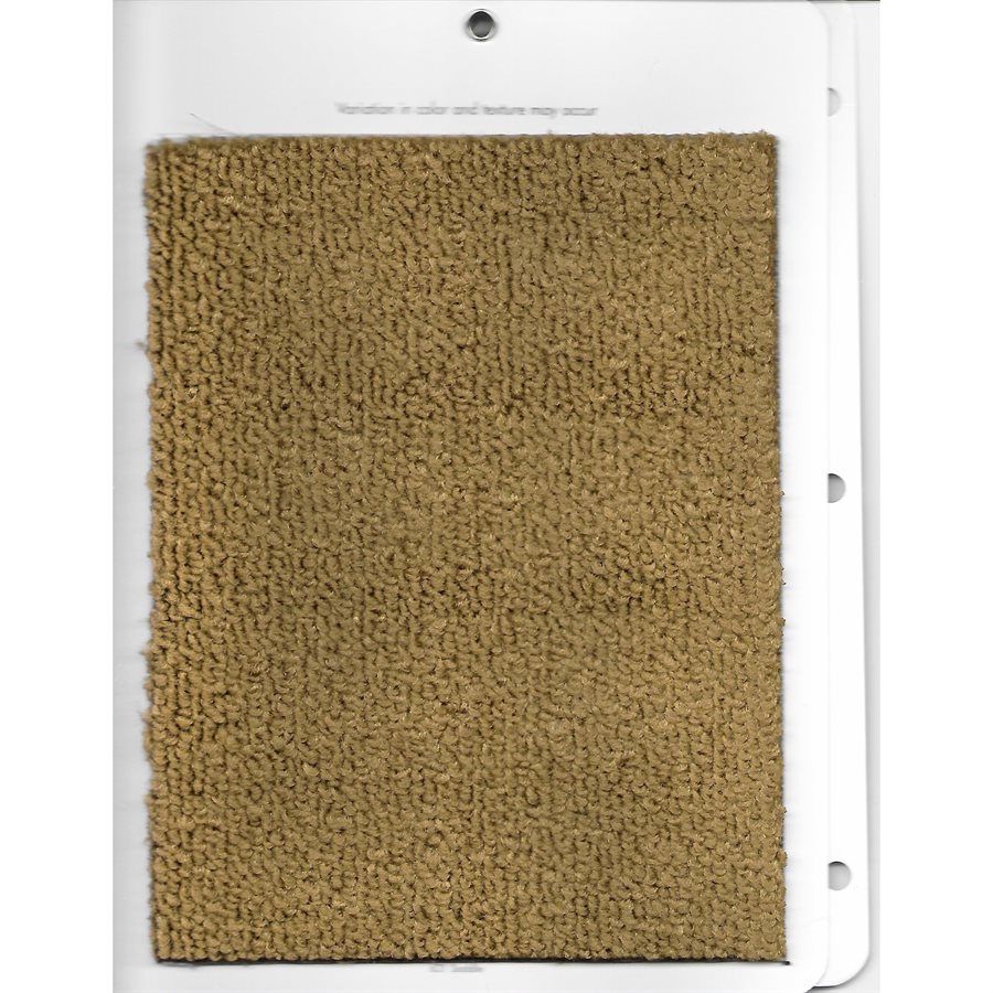 Detroit Loop Carpet Sample Card