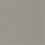 Genesis Economy Vinyl