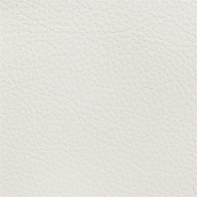 Prodigy Marine Vinyl