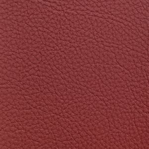 Prodigy Marine Vinyl