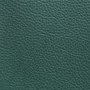 Prodigy Marine Vinyl