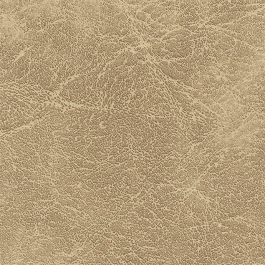 Carrara Automotive Vinyl